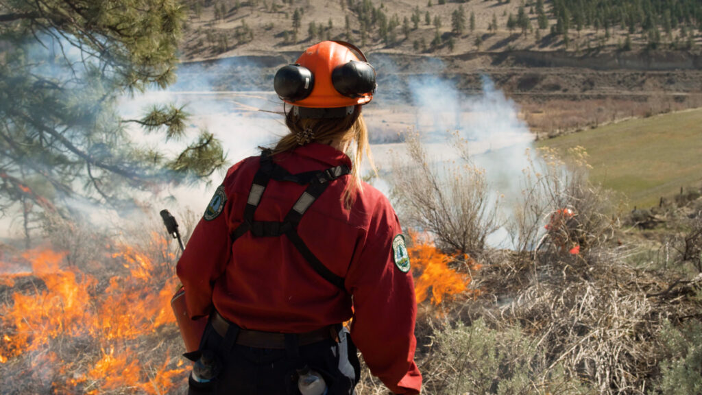 Cultural Burning & Prescribed Fire BC