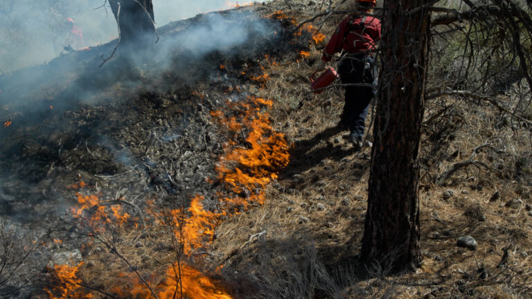 Plan a Burn | Prescribed Fire