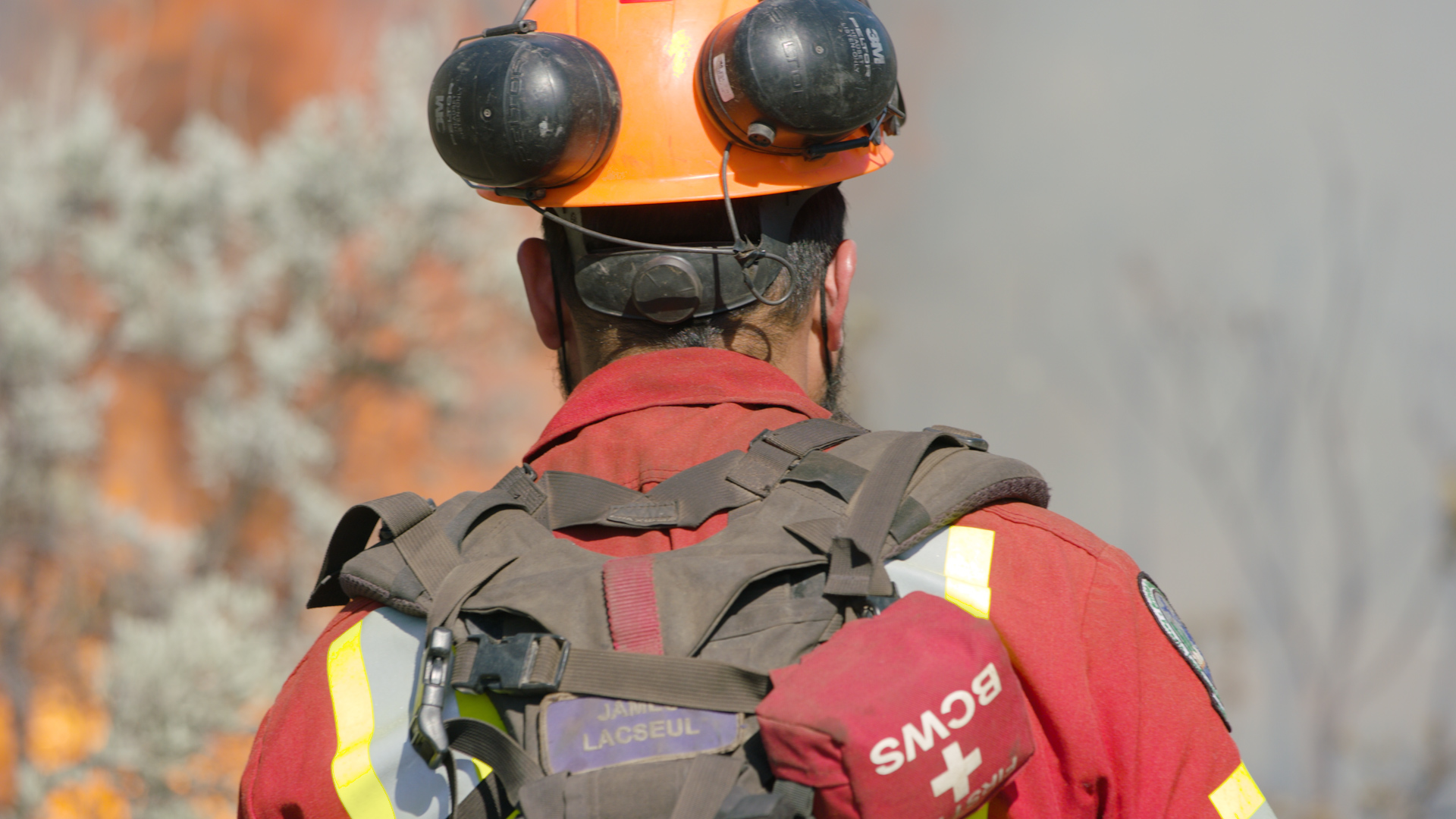 Why Prescribed Fire? | Prescribed Fire