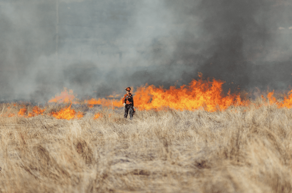 Walking with Fire: BC’s History of Fire Governance | FireSmart BC