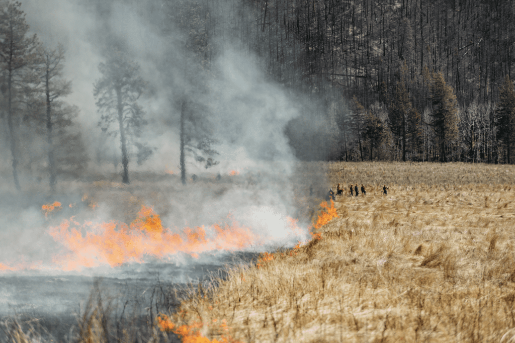 A Cultural Approach to Mitigating Wildfire - Cultural Burning ...